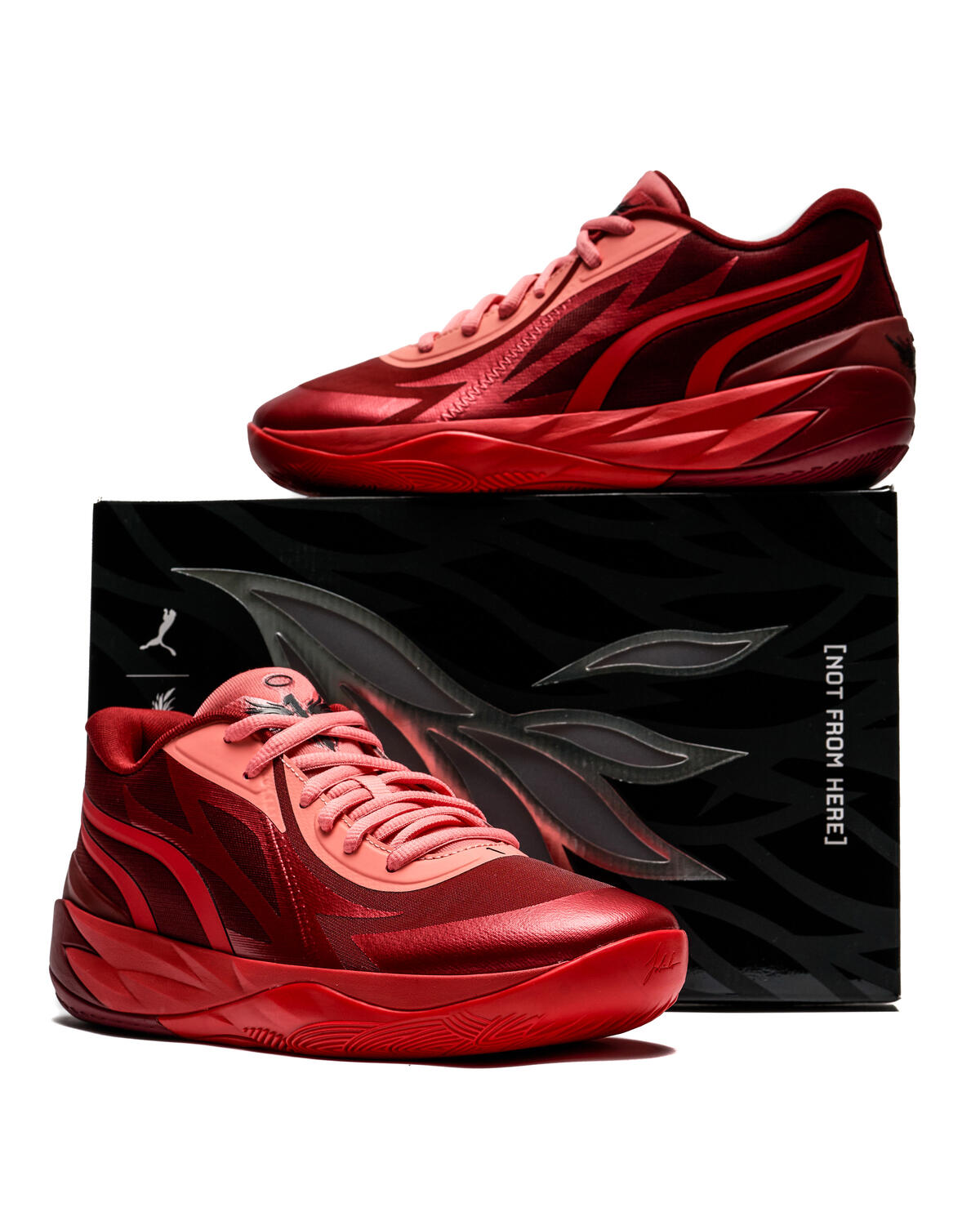 Puma MB.02 Lo | 377766-04 | AFEW STORE