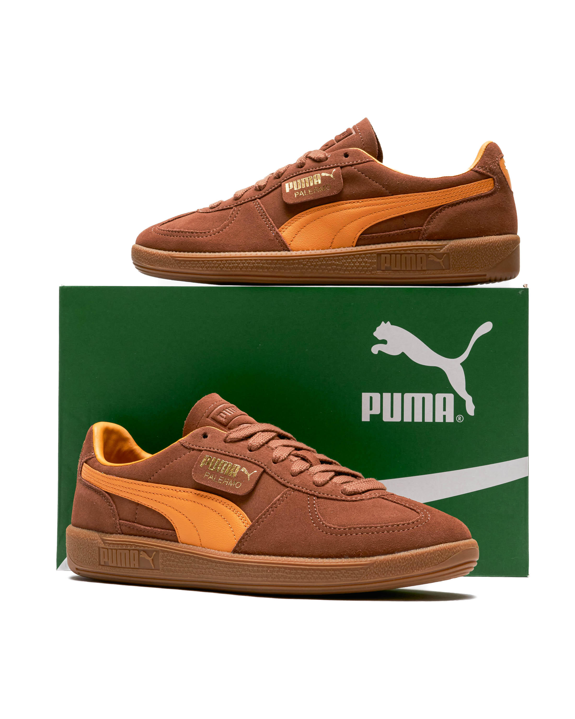 Puma Palermo – Brown Mushroom-Ginger Tea - Sneakershopview Store