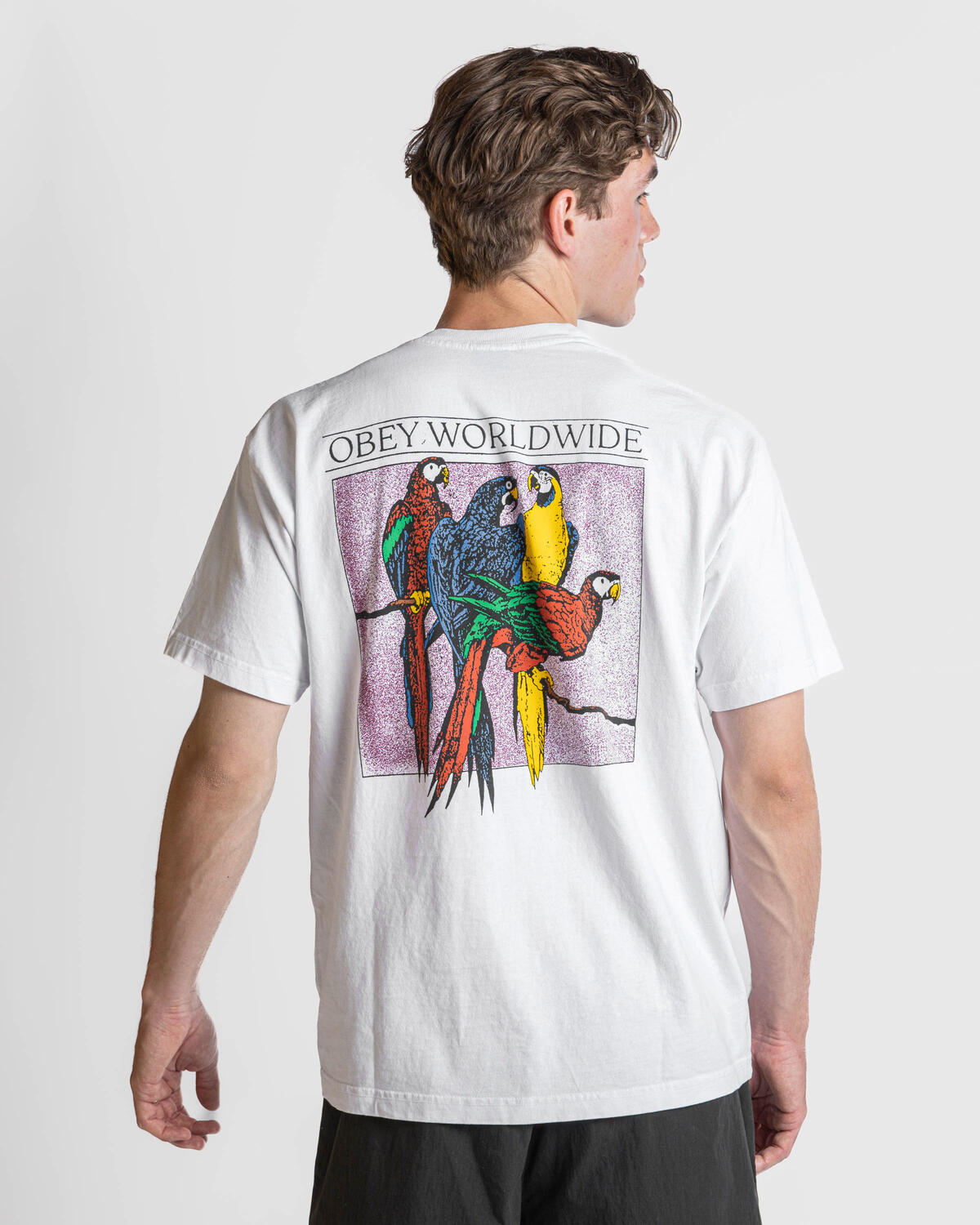 Obey respect & protect tee | 166913757-WHT | AFEW STORE